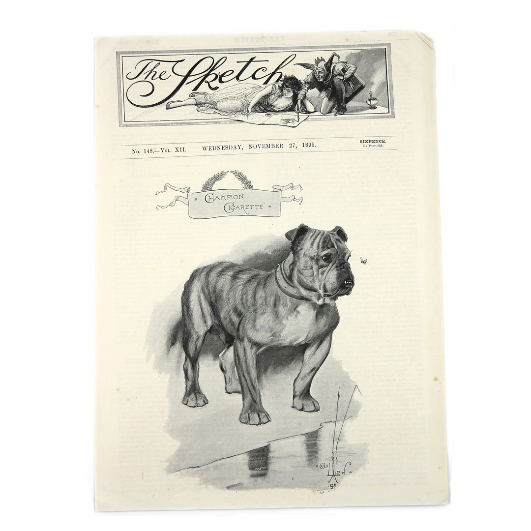 Vintage Bulldog Print, c.1895 - SOLD – Duke & Winston
