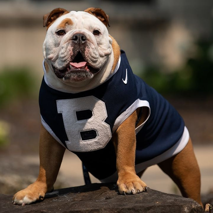 Bulldog College Licensing – Duke & Winston