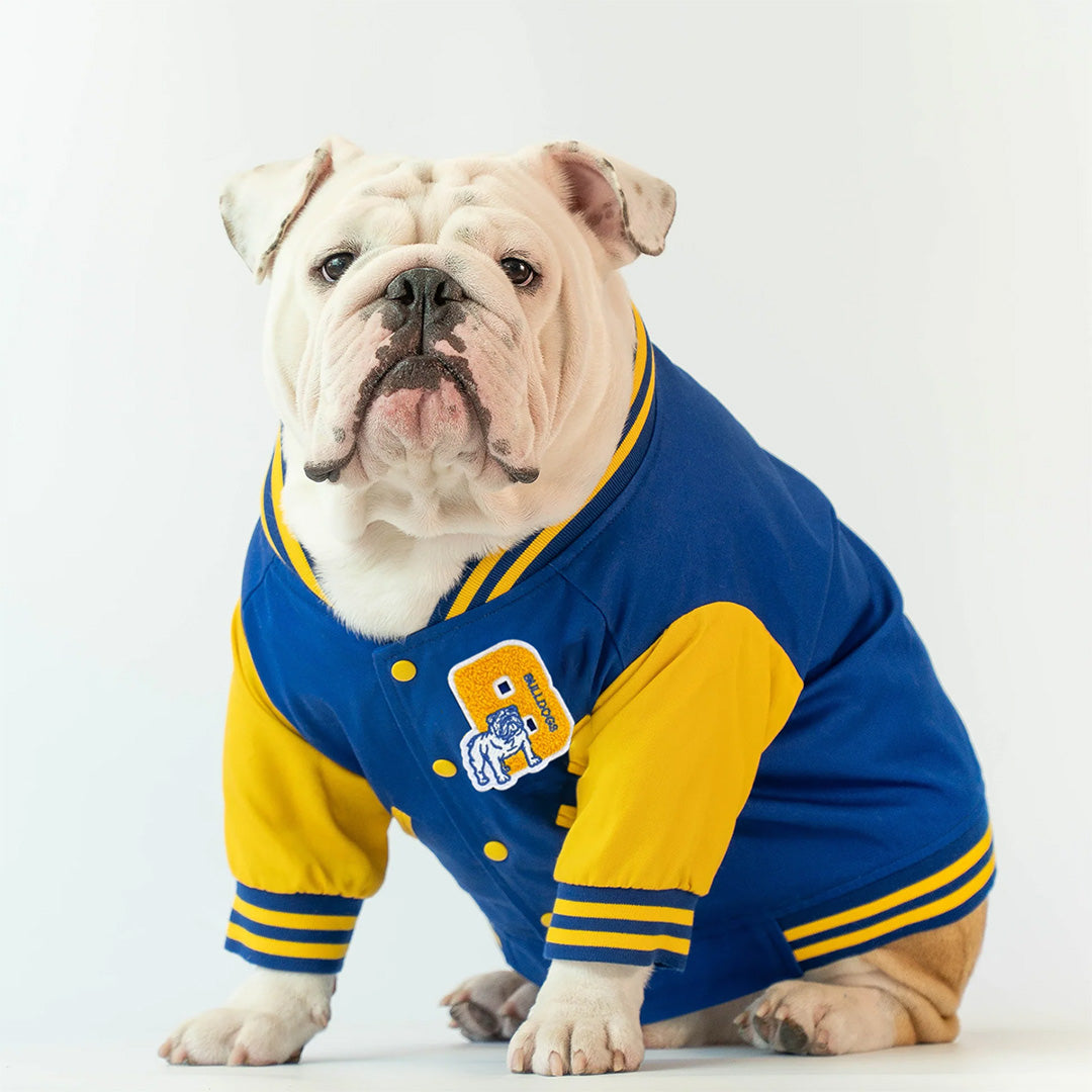 Go Bulldogs Bomber Jacket (Blue/Yellow) – Duke & Winston