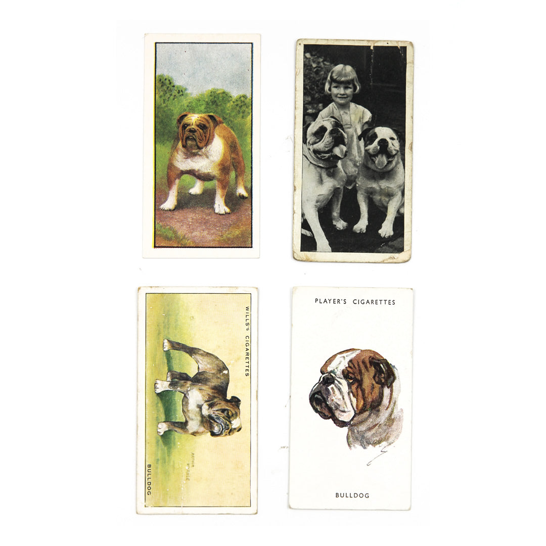 Vintage Bulldog Cigarette Cards x 4 - SOLD – Duke & Winston