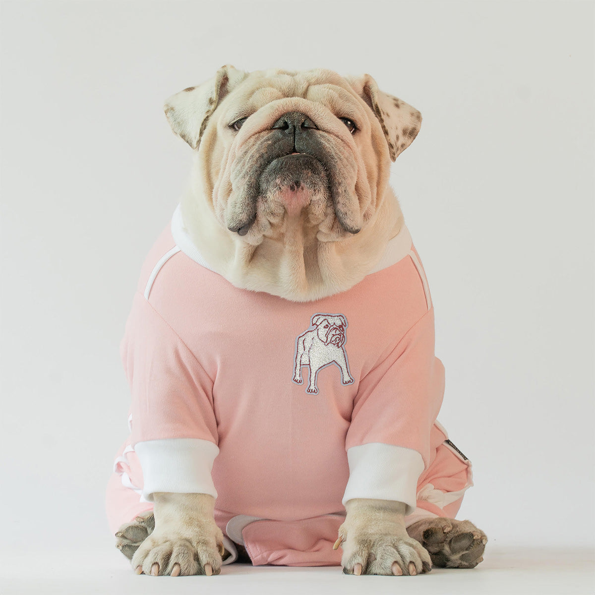 D&W x WONTON BULLDOG – Duke & Winston